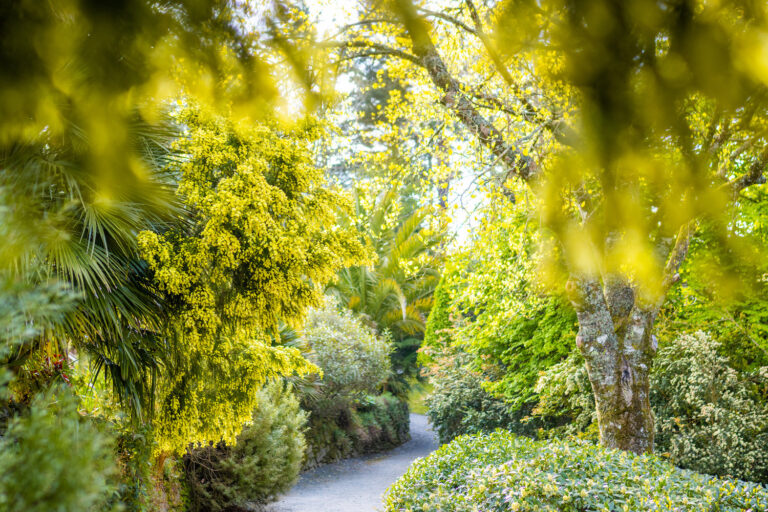 Things to do in Cornwall in spring | Forever Cornwall