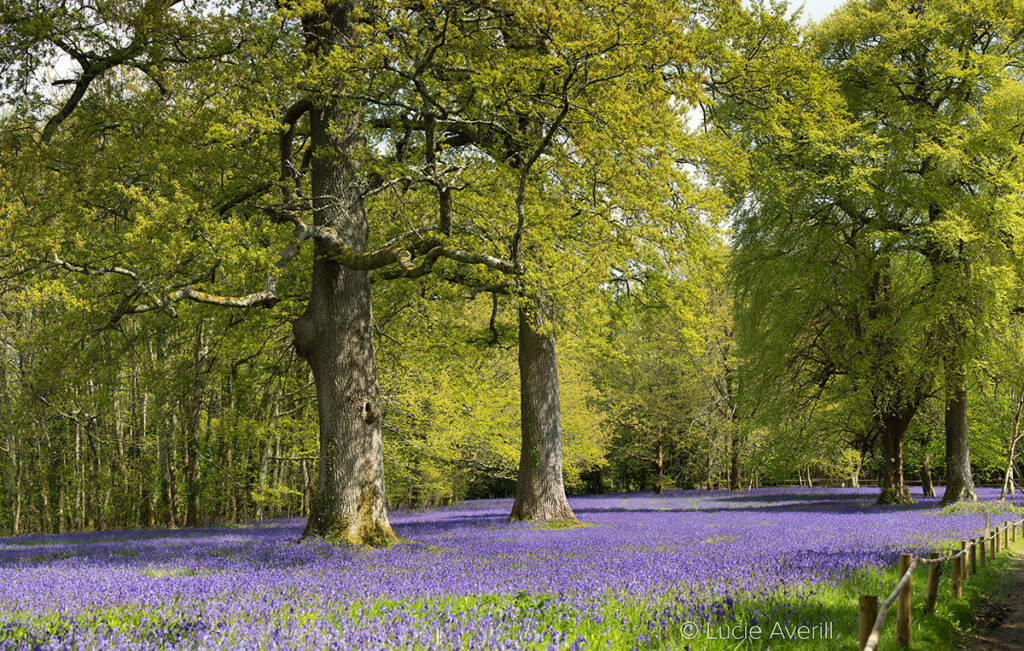 Things to do in Cornwall in spring | Forever Cornwall